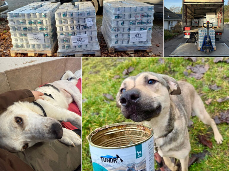 Pro Pet Koller dona más de 70 toneladas de alimentos para el bienestar ...